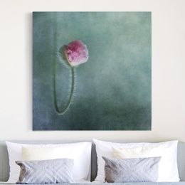 Bilderwelten Leinwandbild Blumen modern Kunstdruck gr&uuml;n - Bl&uuml;te in Rosa - Landschaft XXL Wohnzimmer Schlafzimmer