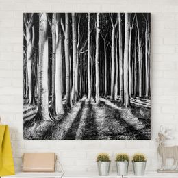 Bilderwelten Leinwandbild - Quadrat Geisterwald