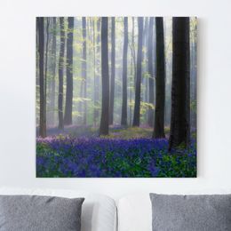 Bilderwelten Leinwandbild Blumen Motiv Kunstdruck gr&uuml;n - Fr&uuml;hlingstag im Wald - B&auml;ume XXL Wohnzimmer Schlafzimmer