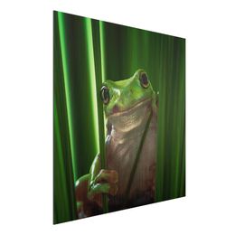 Bilderwelten Alu-Dibond Outdoor Bild Fr&ouml;hlicher Frosch