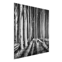 Bilderwelten Alu-Dibond Outdoor Bild Geisterwald