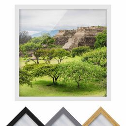 Bilderwelten Bild mit Rahmen Wald gr&uuml;n Motiv inkl. Rahmung - Pyramide von Monte Alban - Architektur Wohnzimmer Schlafzimmer