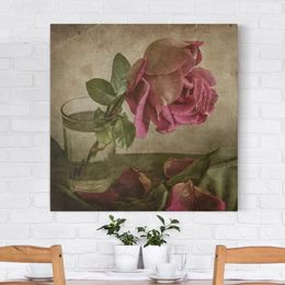Bilderwelten Leinwandbild - Quadrat Tear of a Rose