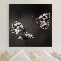 Bilderwelten Leinwandbild Tiere Motiv Kunstdruck schwarz weiss - Medioluto Norte - Schmetterlinge XXL Wohnzimmer Schlafzimmer