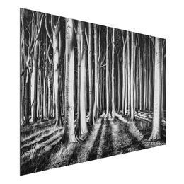 Bilderwelten Alu Dibond Outdoor Bild Wald schwarz weiss Motiv wetterfest - Geisterwald - B&auml;ume Wohnzimmer Schlafzimmer