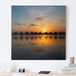 Bilderwelten Leinwandbild Tiere Motiv Kunstdruck orange - Kamele im Sonnenuntergang - Wandbild XXL Wohnzimmer Schlafzimmer