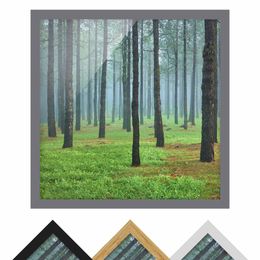 Bilderwelten Bild mit Rahmen - Quadrat Tiefer Wald mit Kiefern auf La Palma