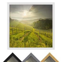 Bilderwelten Bild mit Rahmen Wald gr&uuml;n Motiv inkl. Rahmung - Sonnenstrahlen Weinberg - Himmel Wohnzimmer Schlafzimmer