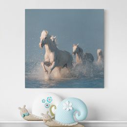Bilderwelten Leinwandbild Tiere modern Kunstdruck weiss - Schimmelherde - Pferde XXL Wohnzimmer Schlafzimmer
