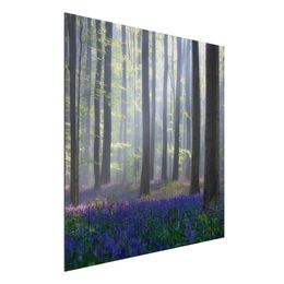 Bilderwelten Alu Dibond Outdoor Bild Blumen gr&uuml;n Motiv wetterfest - Fr&uuml;hlingstag im Wald - B&auml;ume Wohnzimmer Schlafzimmer