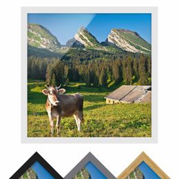 Bilderwelten Bild mit Rahmen Wald einzigartig Motiv inkl. Rahmung - Schweizer Almwiese mit Kuh - B&auml;ume Wohnzimmer Schlafzimmer