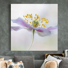 Bilderwelten Leinwandbild Blumen Motiv Kunstdruck Leinwanddruck - Buschwindr&ouml;schen in Wei&szlig; - Wandbild XXL Wohnzimmer Schlafzimmer