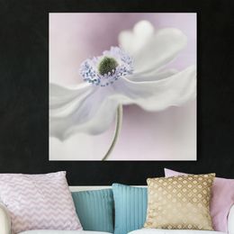 Bilderwelten Leinwandbild Blumen modern Kunstdruck weiss - Anemonenbrise - Wandbild XXL Wohnzimmer Schlafzimmer