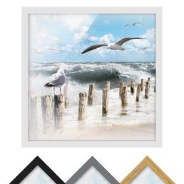 Bilderwelten Bild mit Rahmen - Quadrat No.YK3 Absolut Sylt