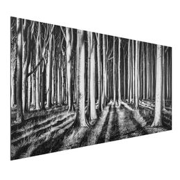Bilderwelten Alu-Dibond Outdoor Bild Geisterwald