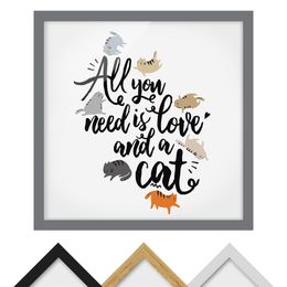 Bilderwelten Bild mit Rahmen - Quadrat All you need is love and a cat