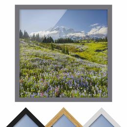 Bilderwelten Bild mit Rahmen - Quadrat Bergwiese mit roten Blumen vor Mt. Rainier