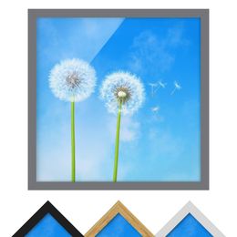 Bilderwelten Bild mit Rahmen - Quadrat Flying Seeds