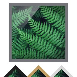 Bilderwelten Bild mit Rahmen - Quadrat Farn