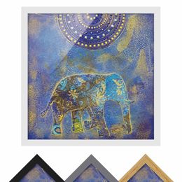 Bilderwelten Bild mit Rahmen - Quadrat Elephant in Marrakech