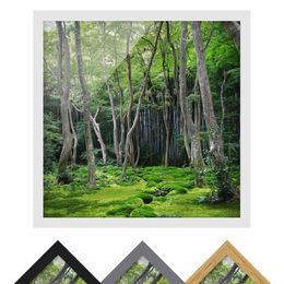 Bilderwelten Bild mit Rahmen - Quadrat Growing Trees