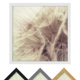 Bilderwelten Bild mit Rahmen Blumen beige Vintage inkl. Rahmung - Detailreiche Pusteblumen Makroaufnahme mit Vintage Blur Effekt - Pusteblume Wohnzimmer