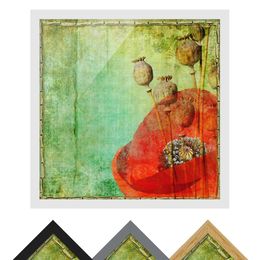 Blumen Bild mit Rahmen Poppy Stalks