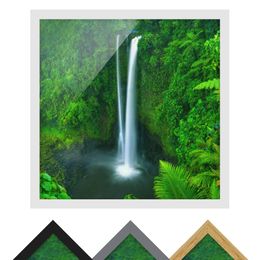 Bilderwelten Bild mit Rahmen - Quadrat Paradiesischer Wasserfall