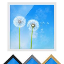 Bilderwelten Bild mit Rahmen - Quadrat Flying Seeds