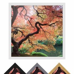 Bilderwelten Bild mit Rahmen Wald rot Motiv inkl. Rahmung - Japanischer Garten - B&auml;ume Wohnzimmer Schlafzimmer
