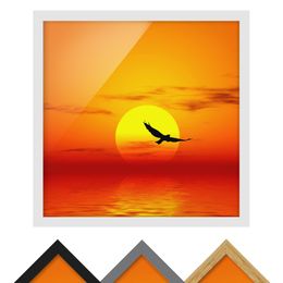 Bilderwelten Bild mit Rahmen - Quadrat Fabulous Sunset