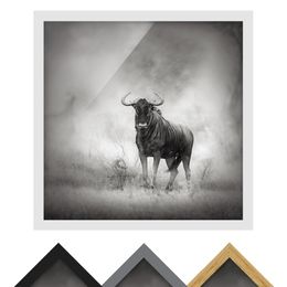 Bilderwelten Bild mit Rahmen Tiere schwarz weiss Motiv inkl. Rahmung - Staring Wildebeest - Deko Wohnzimmer Schlafzimmer