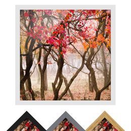 Bilderwelten Bild mit Rahmen Wald braun Motiv inkl. Rahmung - Japan im Herbst - B&auml;ume Wohnzimmer Schlafzimmer