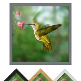 Bilderwelten Bild mit Rahmen - Quadrat Kolibri und Bl&uuml;te