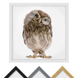 Bilderwelten Bild mit Rahmen Tiere einzigartig Motiv inkl. Rahmung - Neugierige Eule - Deko Wohnzimmer Schlafzimmer