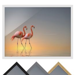 Bilderwelten Bild mit Rahmen Tiere orange Motiv inkl. Rahmung - Flamingo Love - V&ouml;gel Wohnzimmer Schlafzimmer