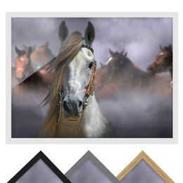 Bilderwelten Bild mit Rahmen - Querformat Horses in the Dust