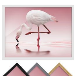 Bilderwelten Bild mit Rahmen Tiere rosa Motiv inkl. Rahmung - Flamingo Dance - V&ouml;gel Wohnzimmer Schlafzimmer