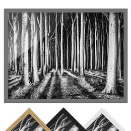 Bilderwelten Bild mit Rahmen - Querformat Geisterwald