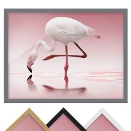 Bilderwelten Bild mit Rahmen - Querformat Flamingo Dance