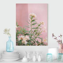 Bilderwelten Leinwandbild Blumen Motiv Kunstdruck rosa - Sanfte Bl&uuml;ten vor Pink - Wandbild XXL Wohnzimmer Schlafzimmer