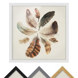 Bilderwelten Bild mit Rahmen - Quadrat Federsammlung