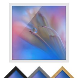 Bilderwelten Bild mit Rahmen - Quadrat Touch Me Softly