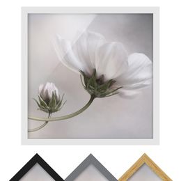 Bilderwelten Bild mit Rahmen Blumen beige Motiv inkl. Rahmung - Simply Cosmos - Deko Wohnzimmer Schlafzimmer