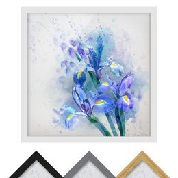 Bilderwelten Bild mit Rahmen - Quadrat Aquarell Blumen Iris