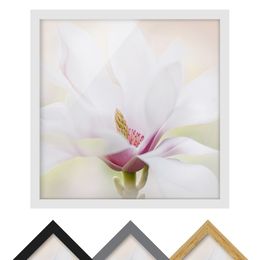Bilderwelten Bild mit Rahmen Blumen beige Motiv inkl. Rahmung - Zarte Magnolienbl&uuml;te - Deko Wohnzimmer Schlafzimmer