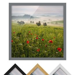 Bilderwelten Bild mit Rahmen - Quadrat Toskana Fr&uuml;hling