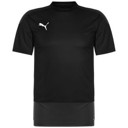 Puma Sportshirt 'TeamGoal 23' Herren Größe L anthrazit / schwarz / weiß