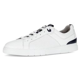 Pius Gabor Sneakers male White size 13