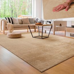 Teppich Paco Home, B:200cm H:14mm L:280cm, beige, Polyester, Wohnzimmer, Teppiche, "Cadiz 630", Uni-Farben, besonders weich, waschbar, auch als